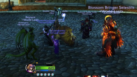 World Last • Stormrage • US | Guilds of WoW