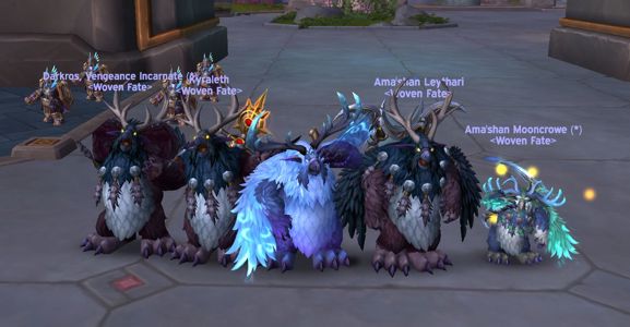 Woven Fate • Stormrage • US | Guilds of WoW