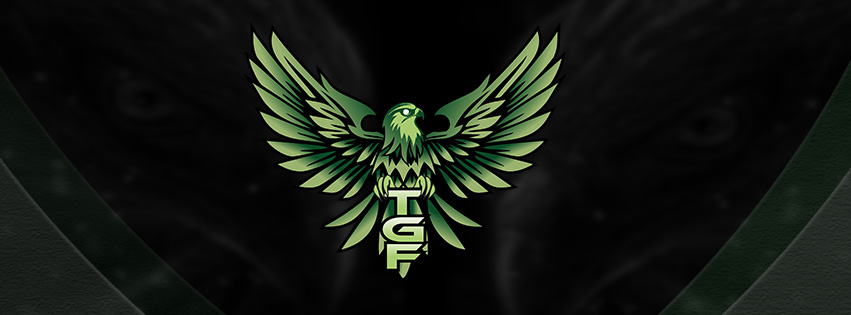 The Green Falcon | Guilds of WoW